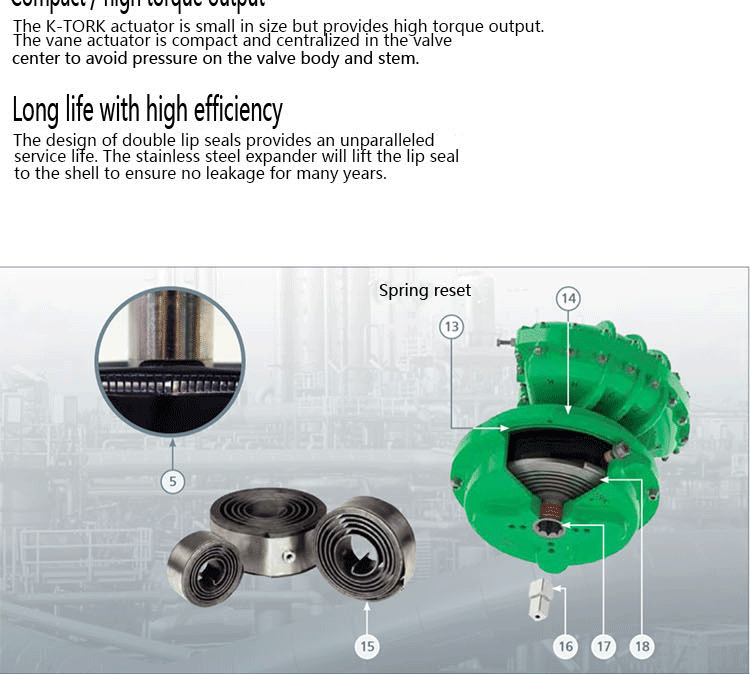 Rotork Regulating Type Electric Actuated Double Flange Expansion ...