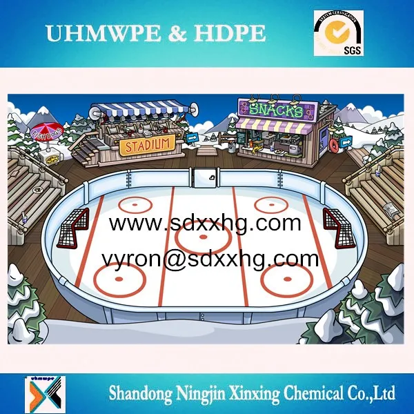 Portable Ice Hockey Dasher Board/portable Synthetic Ice Rink System ...