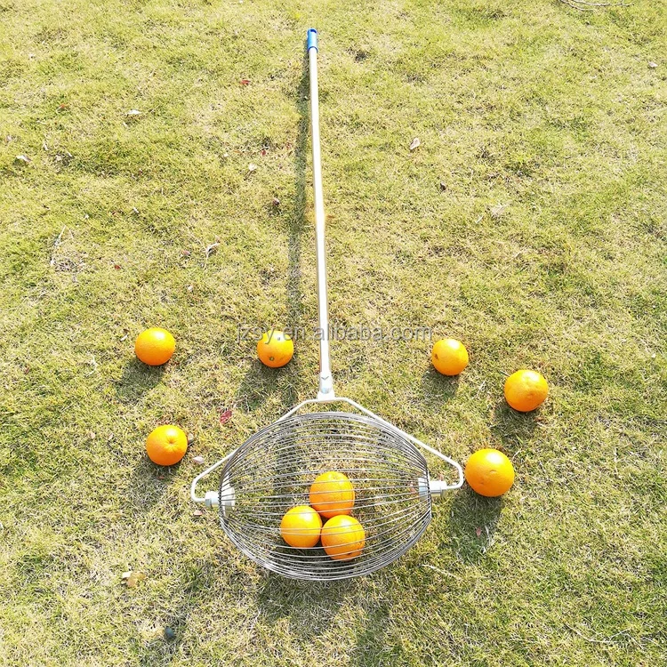 New Design Multifunction Manual Orange Picking Machine/walnut Pickup ...