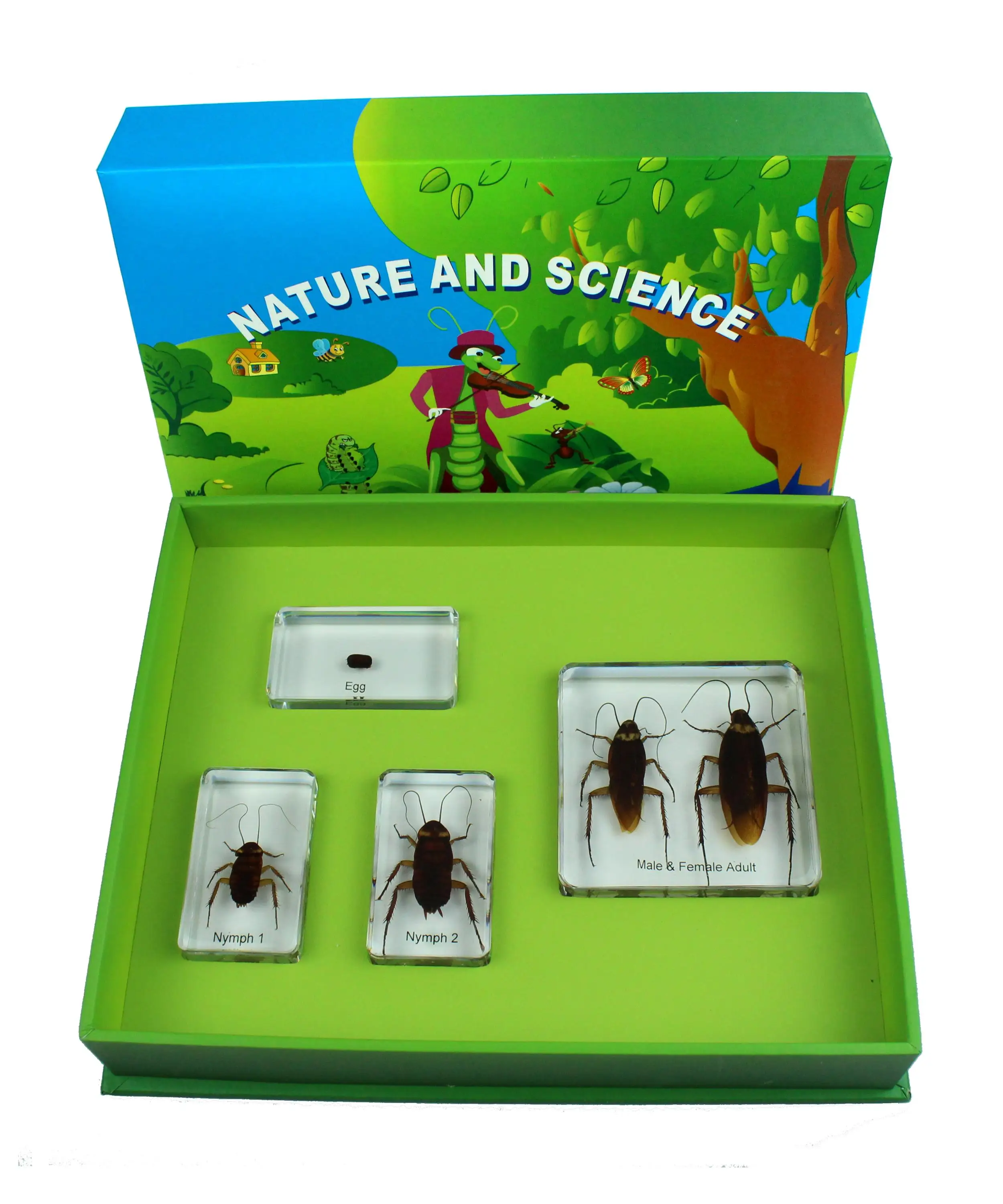 Funny High Transparency Resin Real Insects Specimen Set Collection ...