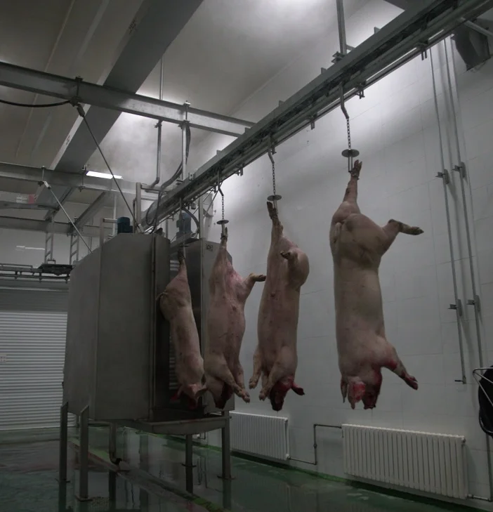Pig Slaughter Equipment - Automatic Robot Carcass Splitting Saw