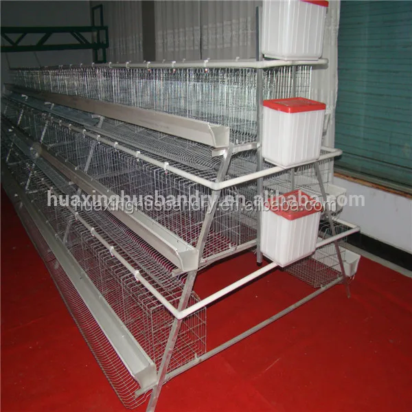 Egg Layer Chicken Poultry Farm Design Layout For Chicken Cage - Buy ...