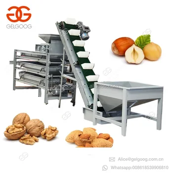 Automatic Hazelnut Sorting Processing Breaking Palm Kernel Shell ...