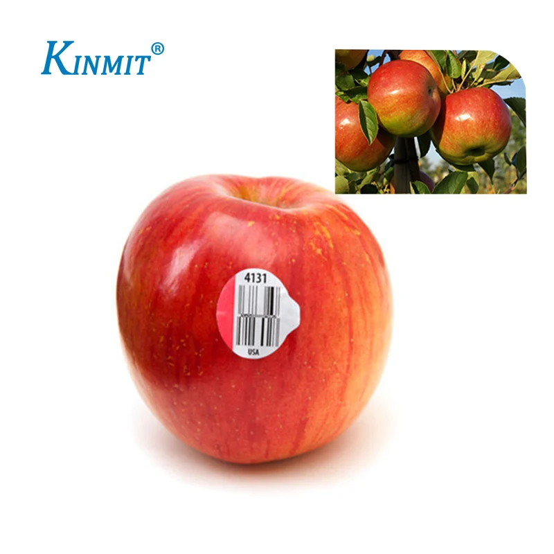 Non-toxic Customized Barcode Fruit Label Printing