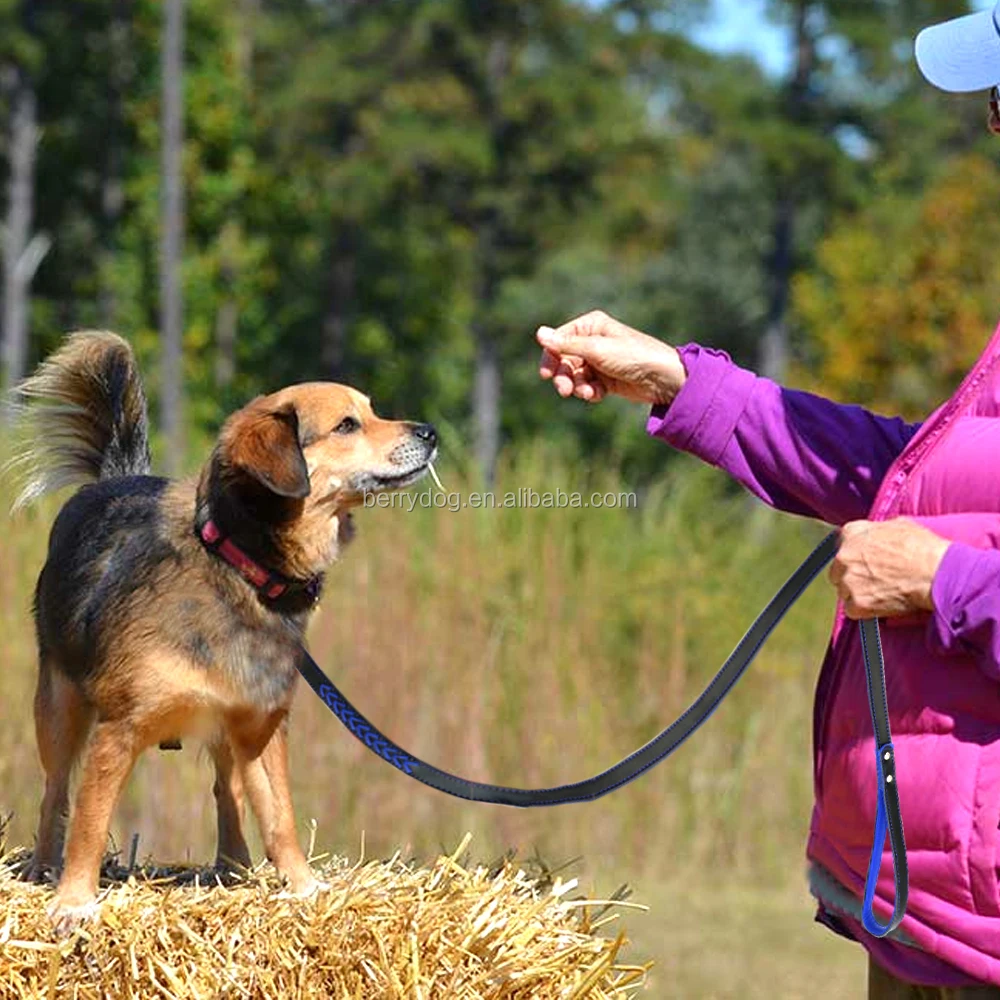 Creative Weaving Design Double Layer Soft Padded Fake Leather Dog Leash ...