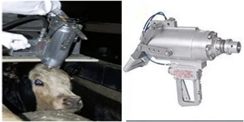 Cattle Abattoir Equipment Stunning Gun - Buy Stunning Gun,Cattle ...