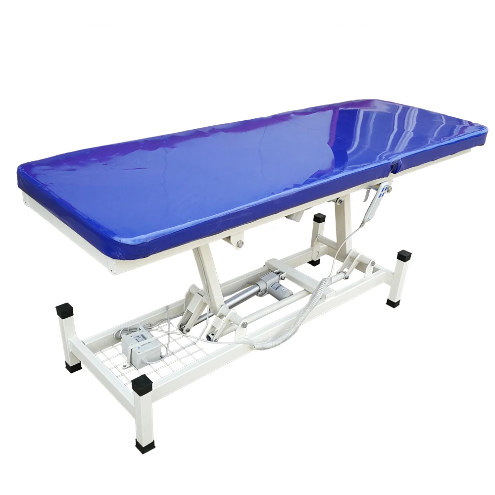 Back Lifting & Adjustable Medical Bed for Hospitals & Clinics