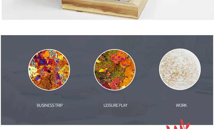 Thick Glass Rock and Stone Grind Thin Section Slides