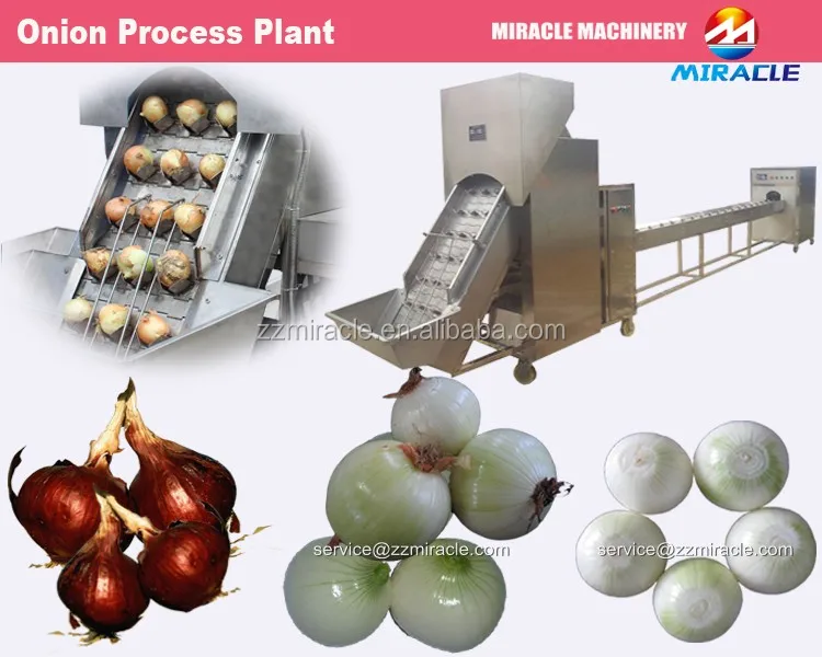 Leader New Design Automatic Onion Slicing Machine - High Efficiency