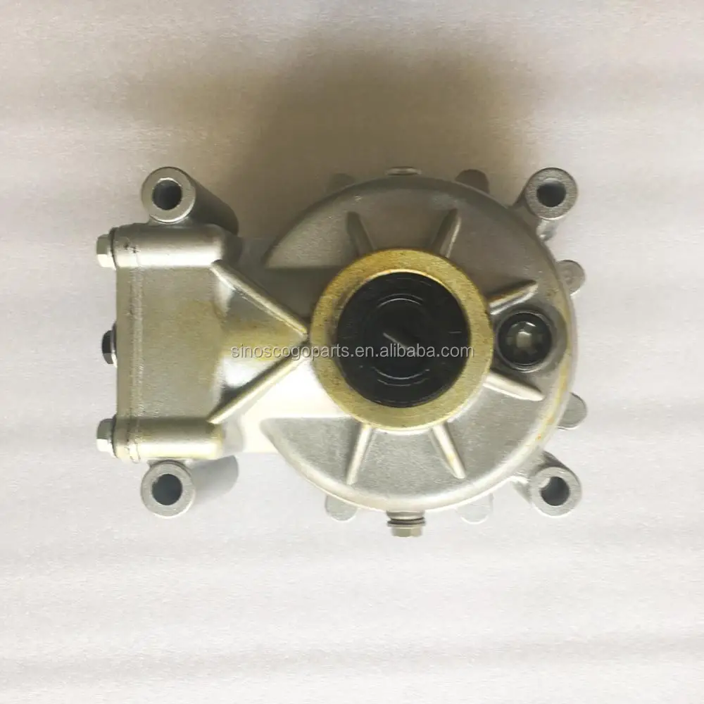 Xinyang, Renli 500cc Buggy Rear Differential - Adrenaline Buggy