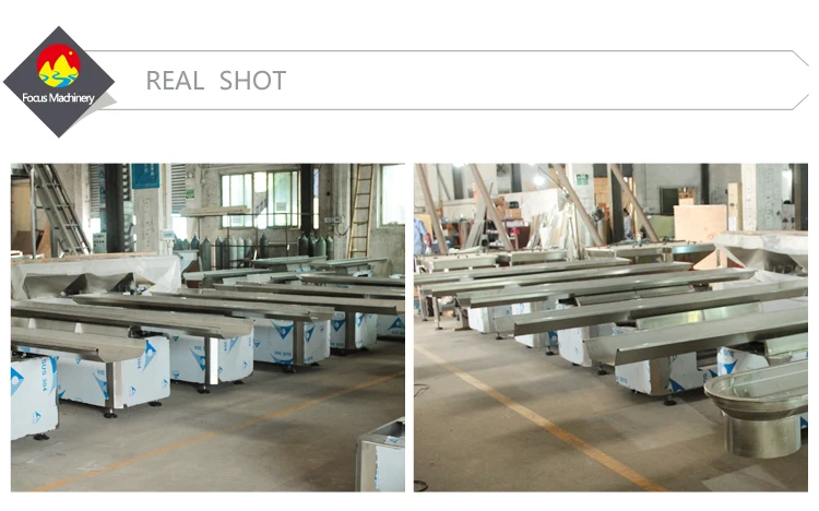 Fastback Horizontal Motion Conveyor with Variable Speed Control