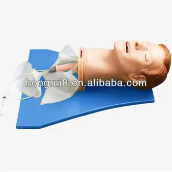 Iso Multi-functional Adult Intubation Manikin,Airway Intubation Trainer ...