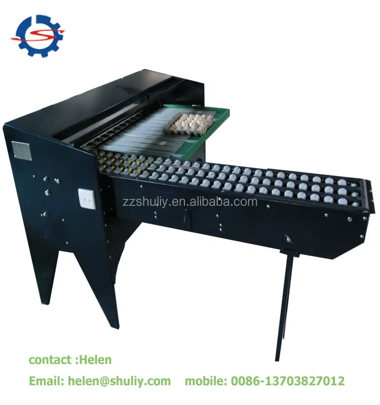 Automatic Eggs Grading Machines - Efficient & Reliable