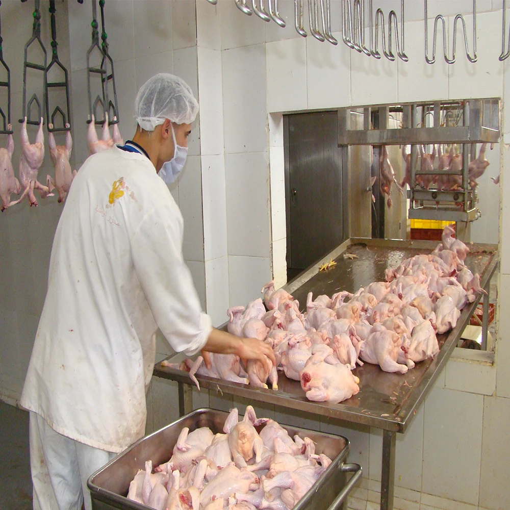 Poultry Processing Plant Broiler Cut-up Sperating Line Packing Table ...