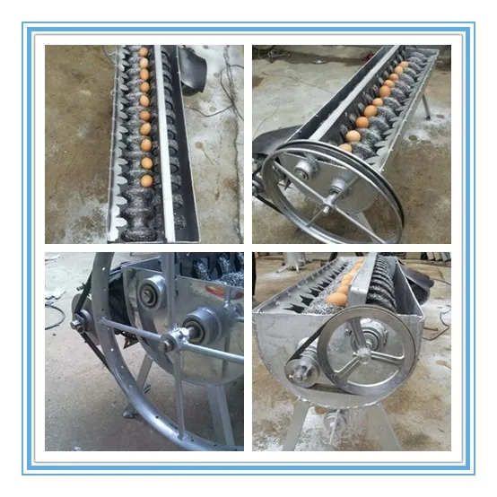 Fresh Egg Washing Machine & Soft Boiled Egg Machine - Automatic Egg ...