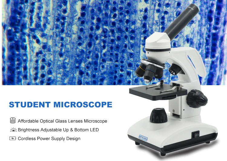 Opto-edu A11.1524-b Single Lens Mono Student Microscope - Buy Mono ...
