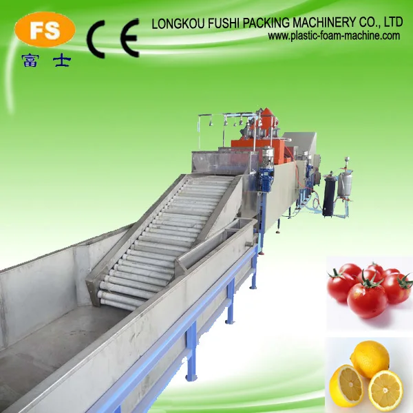 Efficient Vegetable and Fruit Processing Machine