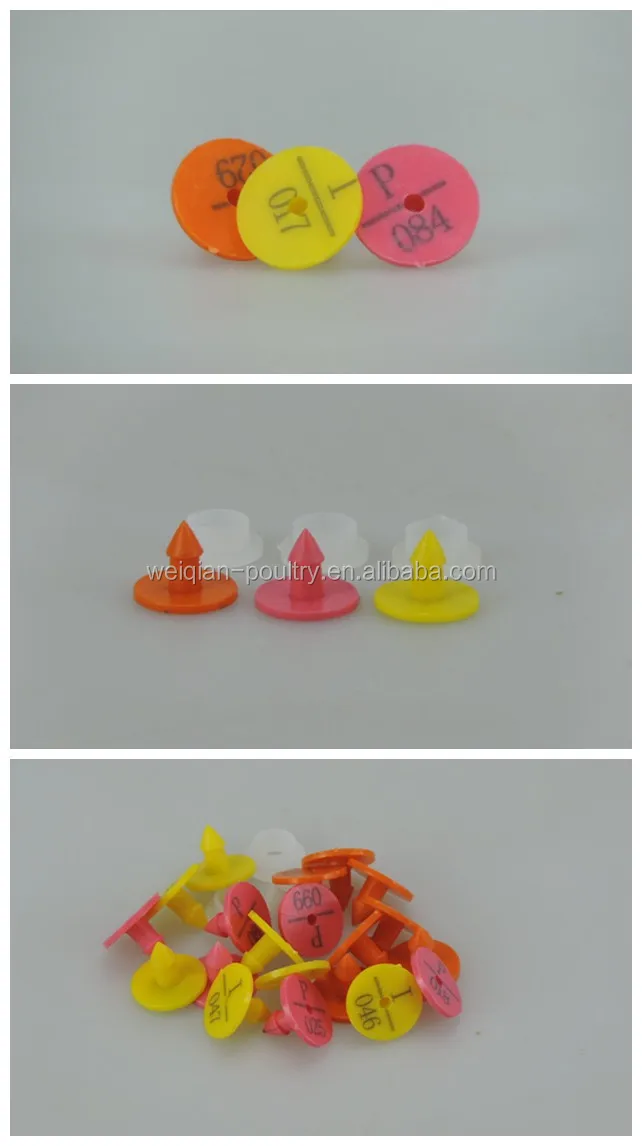 Plastic Rabbit Ear Tag For Small Animal - Buy Rabbit Ear Tag,Plastic ...
