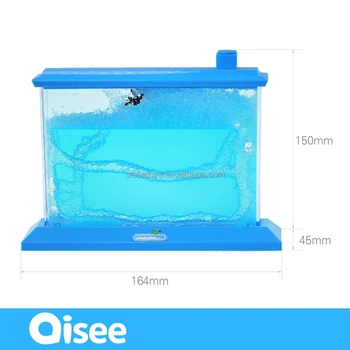 Blue Gel Ant Farm On Sale By The Best Manufacturer - Buy Ant Farm ...