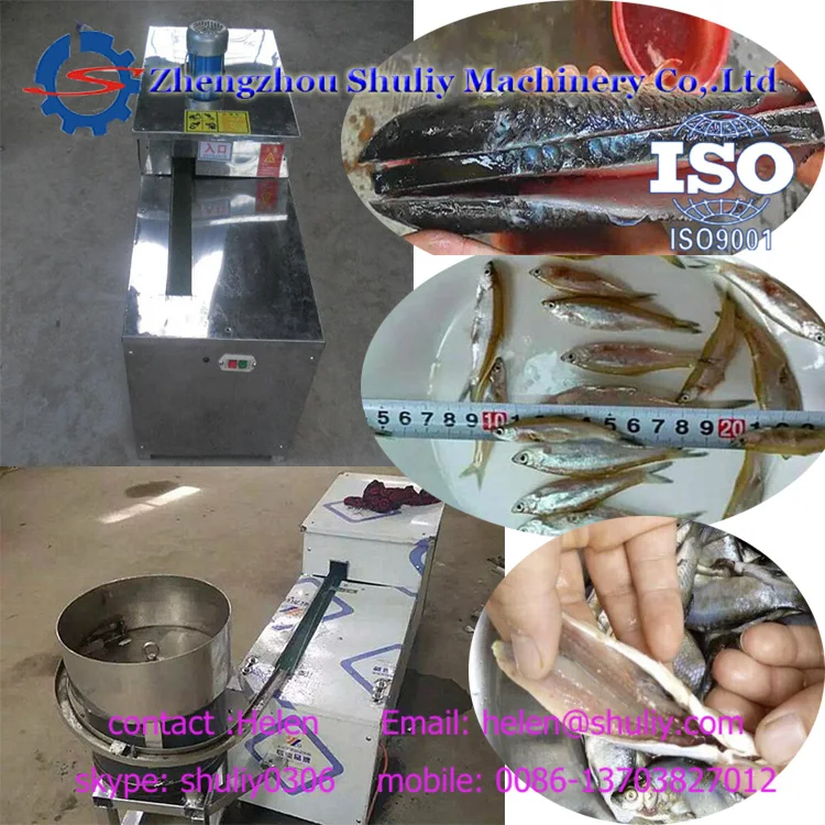 Automatic Fish Cleaning Machine/ Fish Gutting Machine What's App ...