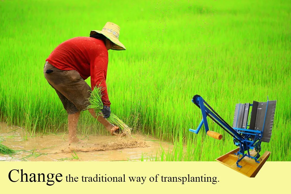 Philippine Rice Transplanter - Efficient Paddy Planting