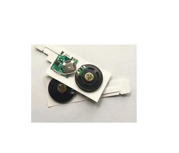 Programmable Musical Chips For Greeting Cards Micro Hidden Voice ...