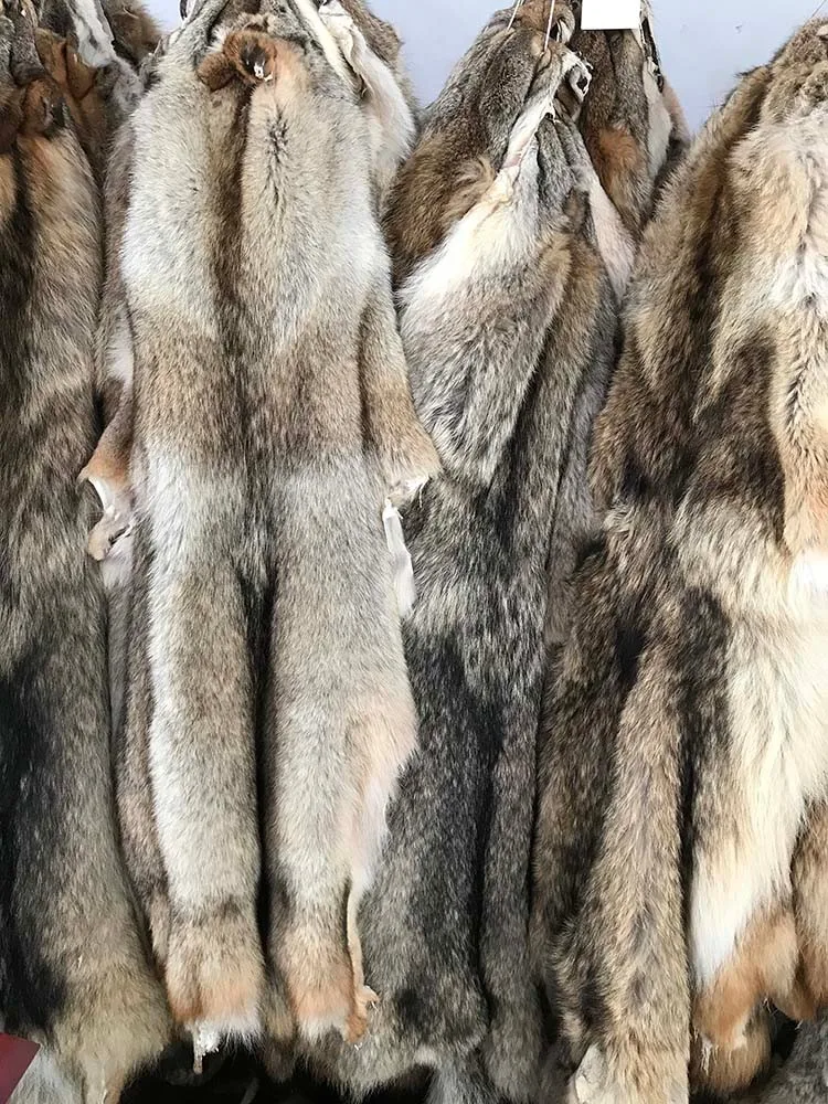Factory Wholesale Price Full Pelt Coyote Fur Skin For Garment Or ...