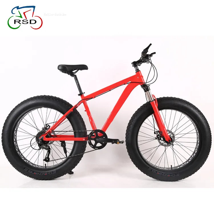 29" Mountain Bike with Fat Tire - Ideal for Snow & Off-road