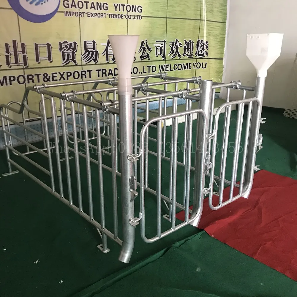 Gestation and Insemination Pregnancy Cage Pig Stalls| Alibaba.com