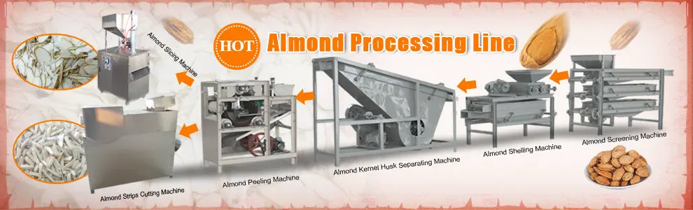 Professional Hazelnut Shelling Almond Huller Machine Palm Nut Breaking ...