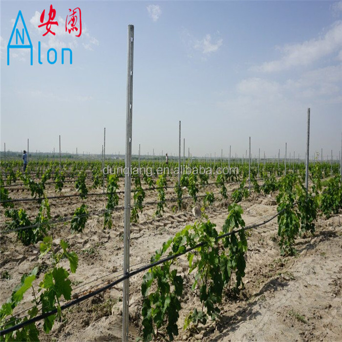 Galvanized Steel Vineyard Trellis Post/u Shape Grape Post To Support ...
