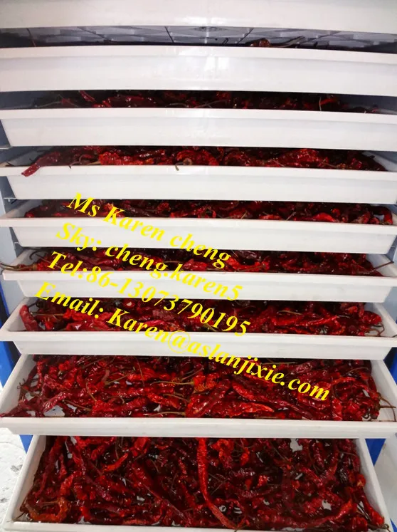 Pepper Processing Machine/pepper Roasting Machine - Buy Pepper Roasting ...