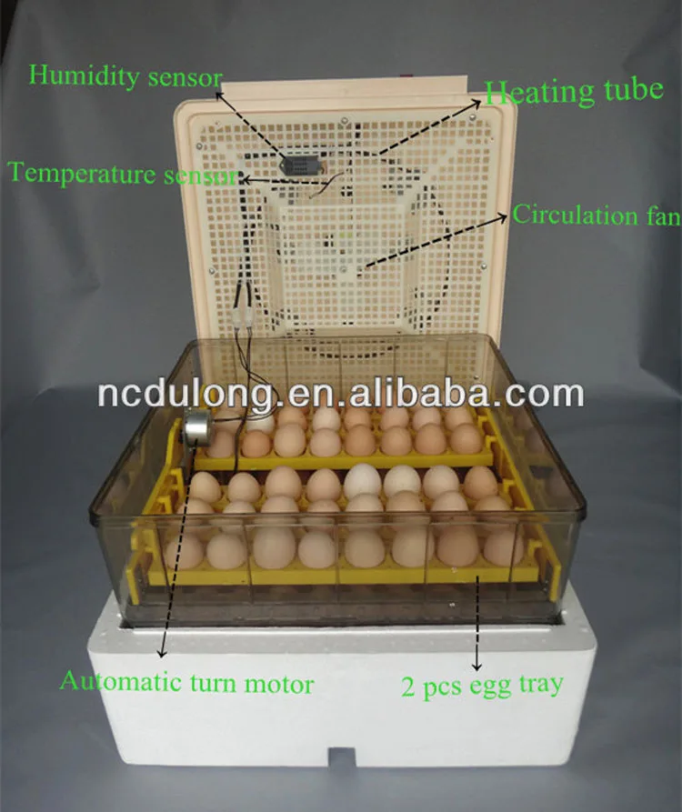 Hot Automatic Good Quality Jn96 Poultry Egg Tester Hatchery Fan ...