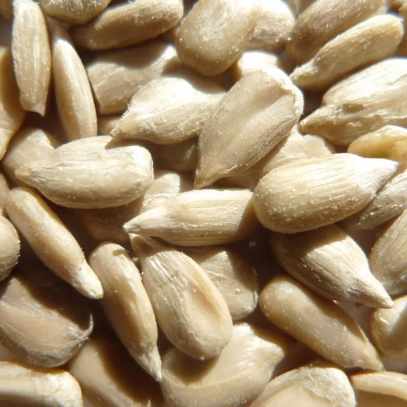 Sunflower Seed Kernels For Bakery & Confectionary - Buy Sunflower ...
