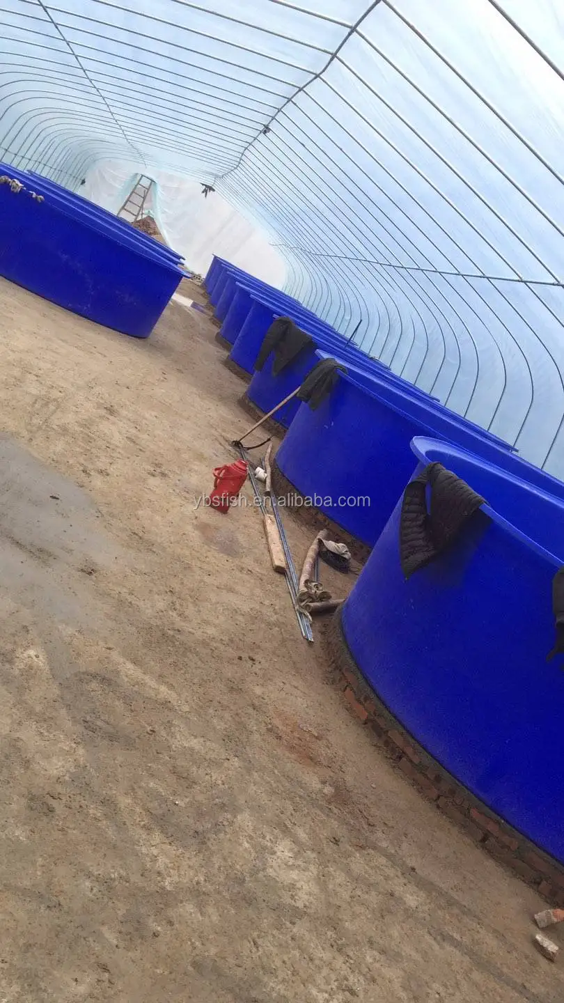 Indoor Crayfish Farming