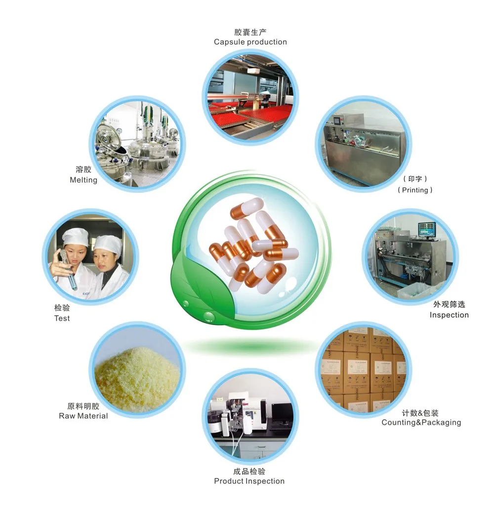 Cellulose Capsule Shells - Clear, Durable, and Versatile