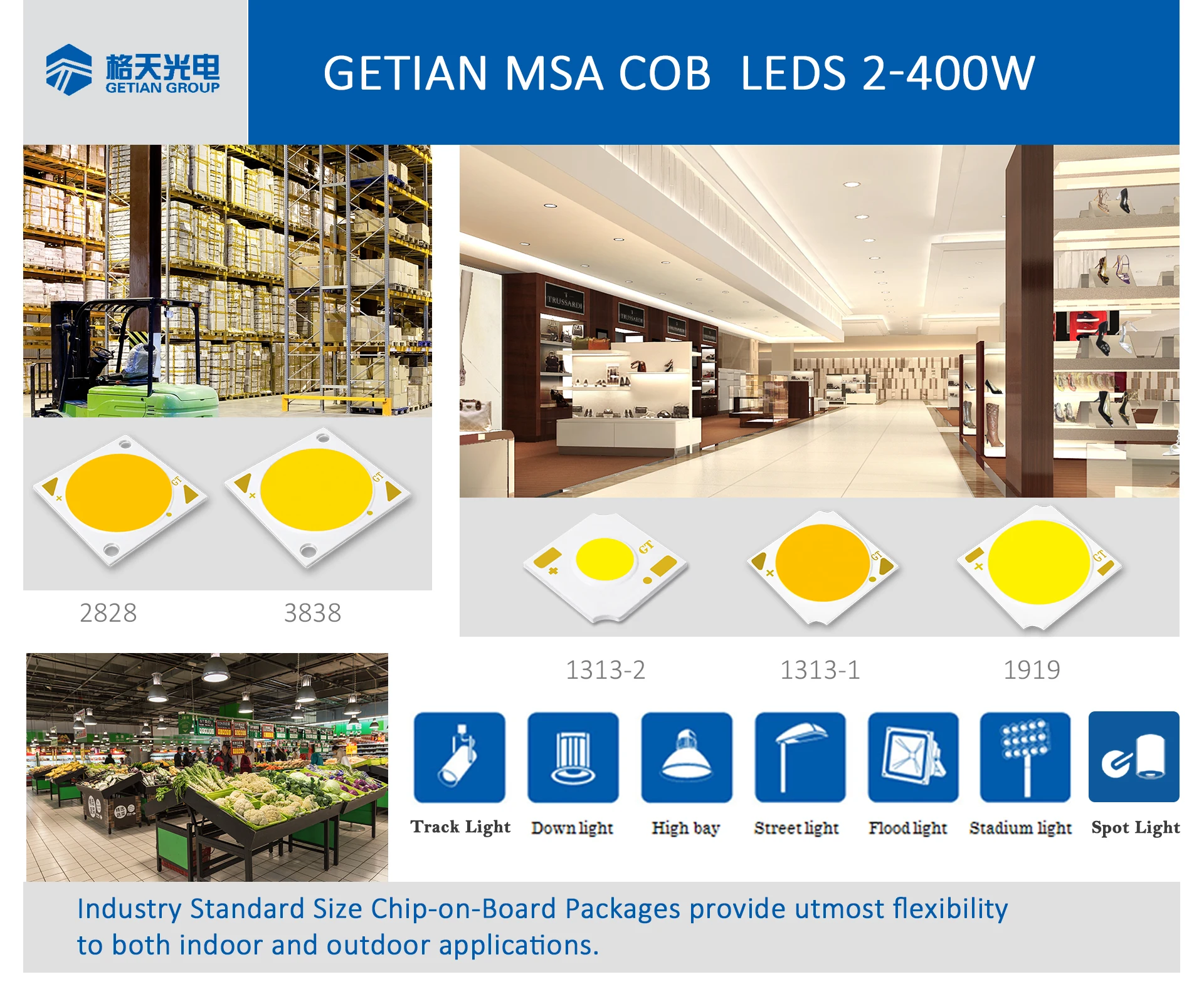 Wholesale Getian 2828 Cob Array Chip White 6000k 100w Led White Led ...