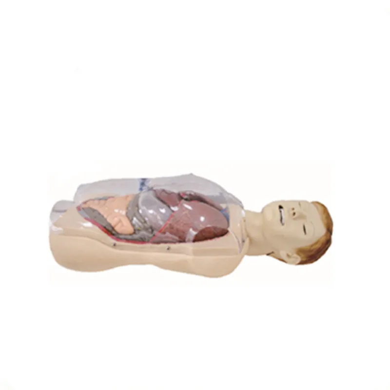 Sengstaken-blakemore Tube Training Simulator Manikin Model - Buy ...