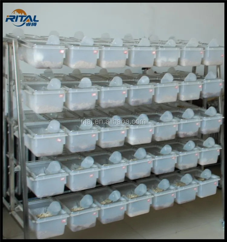 Rodent Breeding Tubs Bottles Cages With Stainless Steel Lid - Buy ...