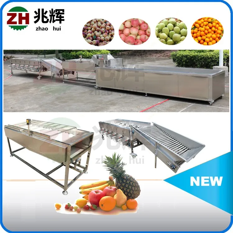 Rolling Fruit And Vegetable Sorting Machine Garlic Onion Sorting ...