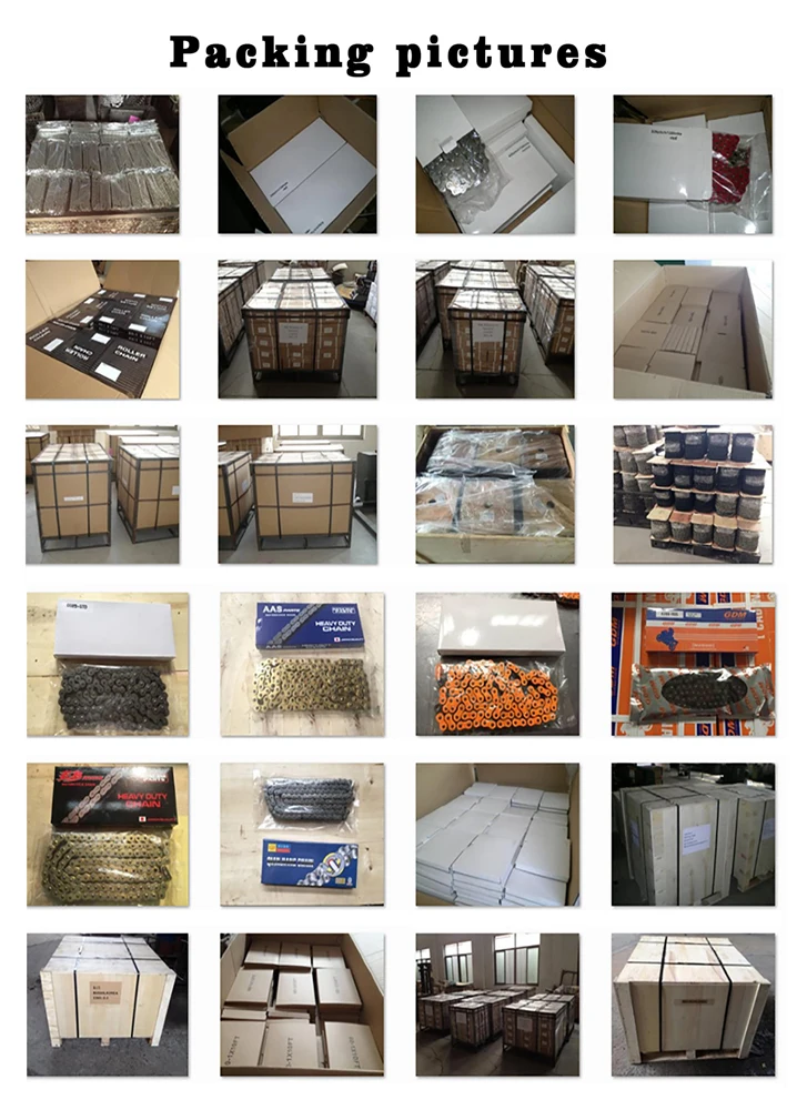 BL534 BL623 BL834 BL1234 Leaf Chains - Durable & Versatile