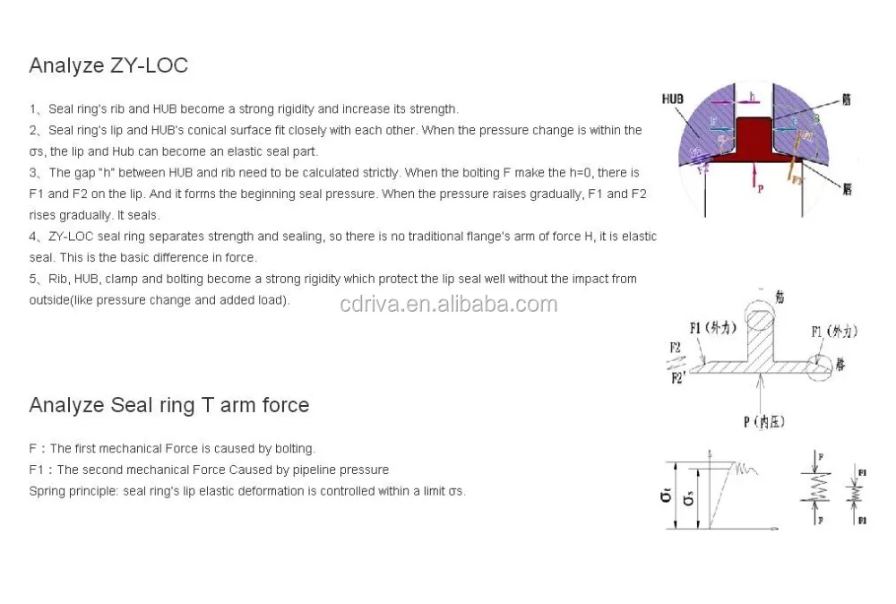 High Pressure Self-Energized Grayloc Seal Ring & Flange