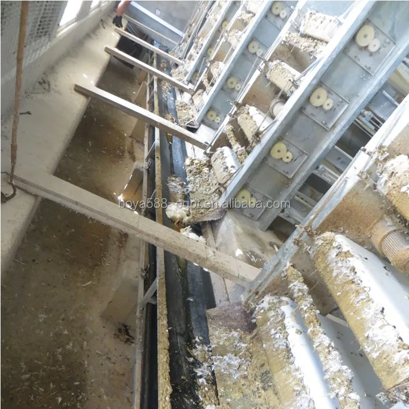 Pp Manure Conveyor Belts For Chicken Cages - Buy Manure Belt,Manure ...