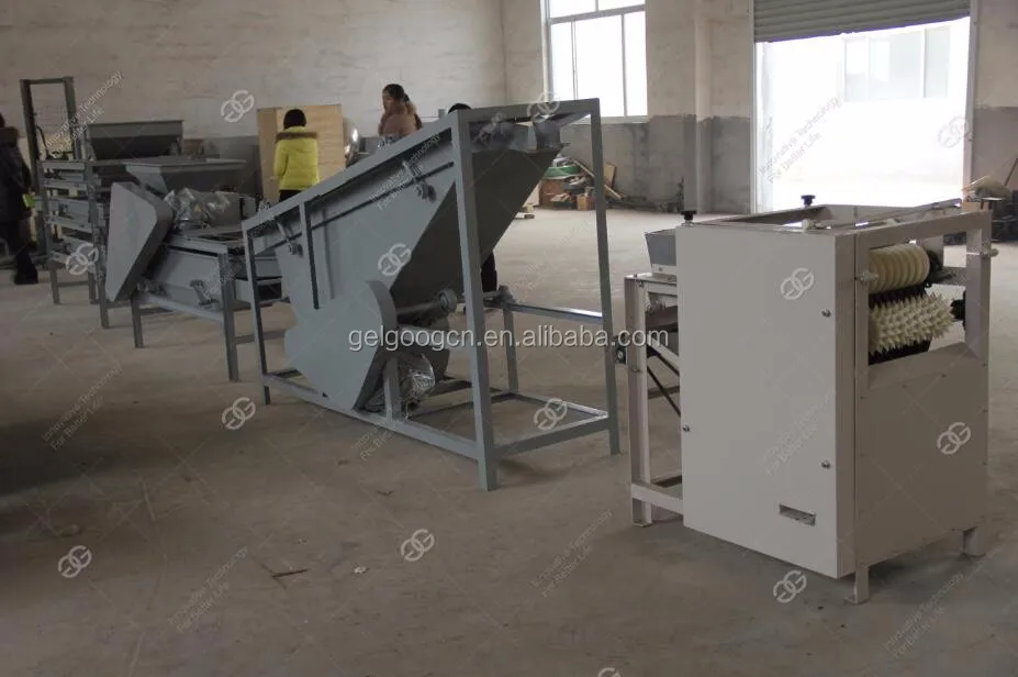 High Quality Cocoa Bean Sorting Machine - Efficient Grading