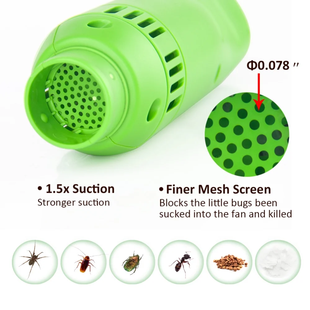 My Critter Catcher - Efficient Spider & Insect Control