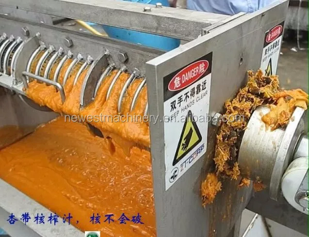 Double Screw Squeezer - Efficient Juicing Solutions