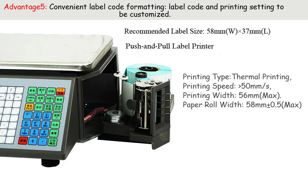 30kg Barcode Printing Electronic Weighing Scales With 10000 Plus Data ...