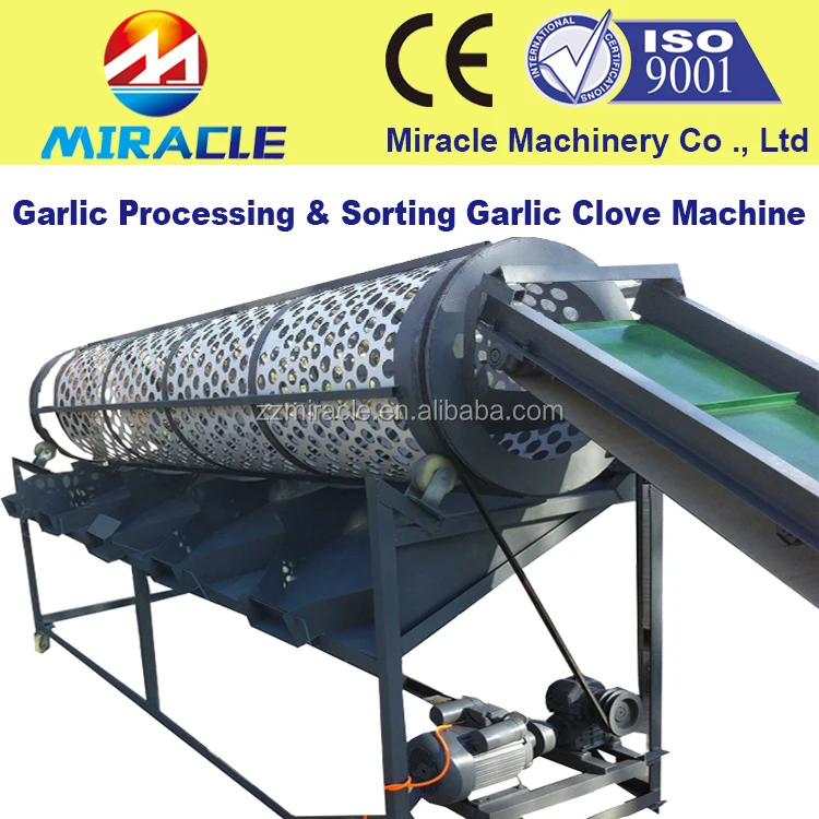 Garlic Clove Sorting Machine,Dry Garlic Clove Size Sorting And Grading Machinery - Buy Garlic ...
