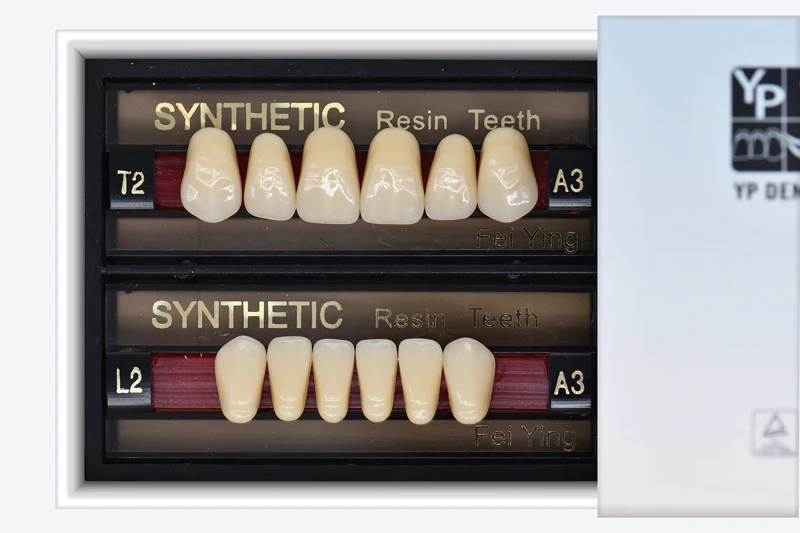 Acrylic Teeth Set - Anterior Resin Composite 2s CE Approved