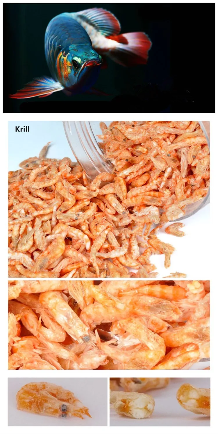 Wholesale Aquarium Koi King Fish Food Pellet - Buy Koi Fish Food,King ...